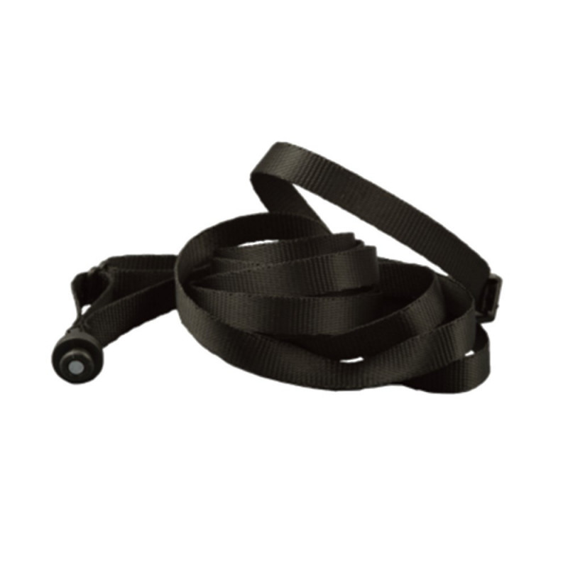 Alcatel-Lucent 8262 DECT PTI