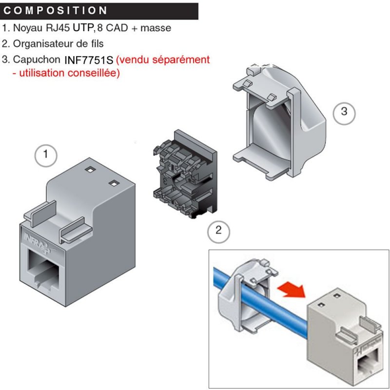 Infraplus Connecteur RJ45 femelle UTP Catégorie 5E